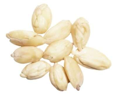 Kenari Nüsse | Nungesser Food